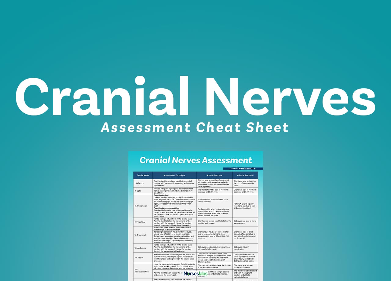 Cranial Nerves Chart Assessment Sheet 2020 Nurseslabs