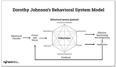 Dorothy Johnson: Behavioral System Model - Nurseslabs