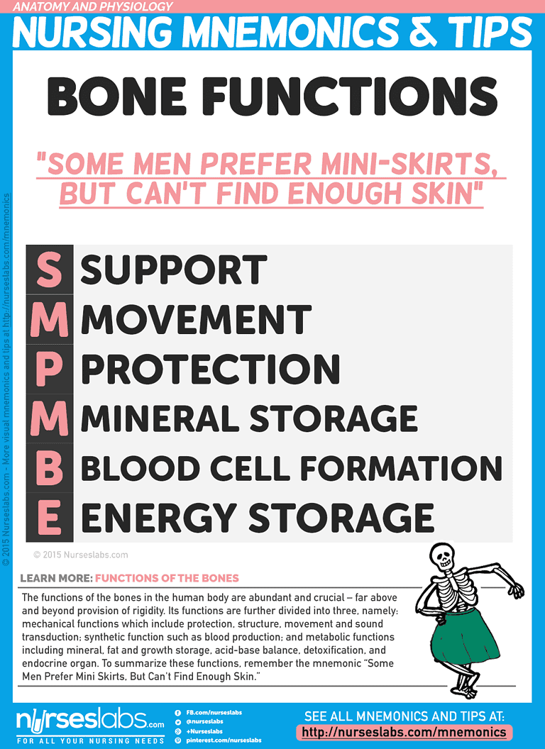 Anatomy and Physiology Nursing Mnemonics & Tips