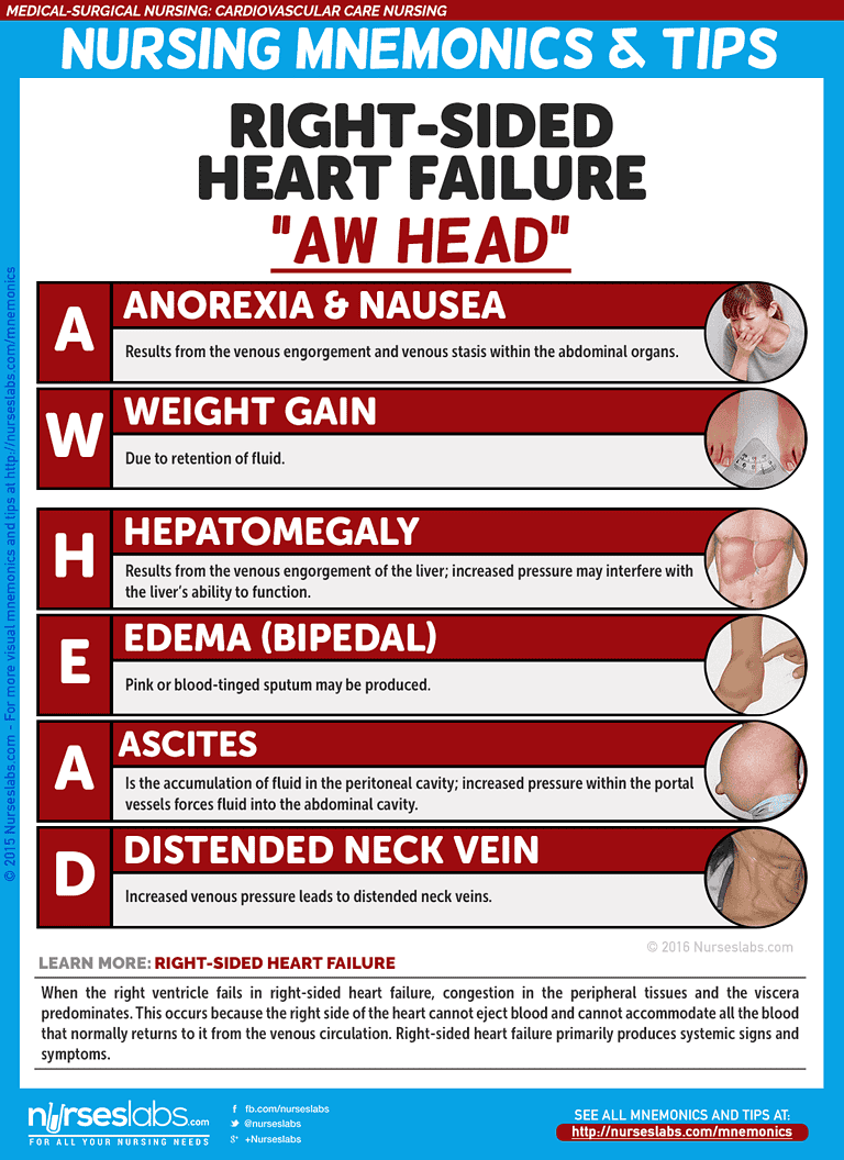 Cardiovascular Care Nursing Mnemonics and Tips | Nursing Care Plans ...