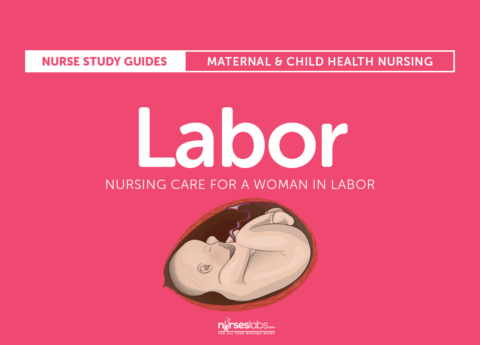 Nursing Care for a Woman in Labor: Obstetric Nursing Guide
