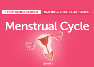 The Menstrual Cycle and Menstrual Disorders - Nurseslabs