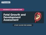 Fetal Development and Fetal Growth Assessment for Nurses
