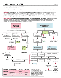 Chronic Obstructive Pulmonary Disease (COPD) Nursing Care Management