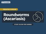 Roundworms (Ascariasis) - Nurseslabs