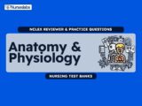 Anatomy and Physiology Nursing Test Banks - Nurseslabs