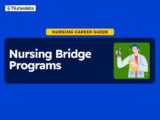 Guide to Nursing Bridge Programs in the United States [2025 Edition ...